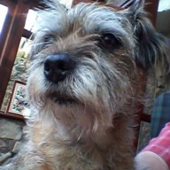 5 letter word change | Page 795 | Motorhomer